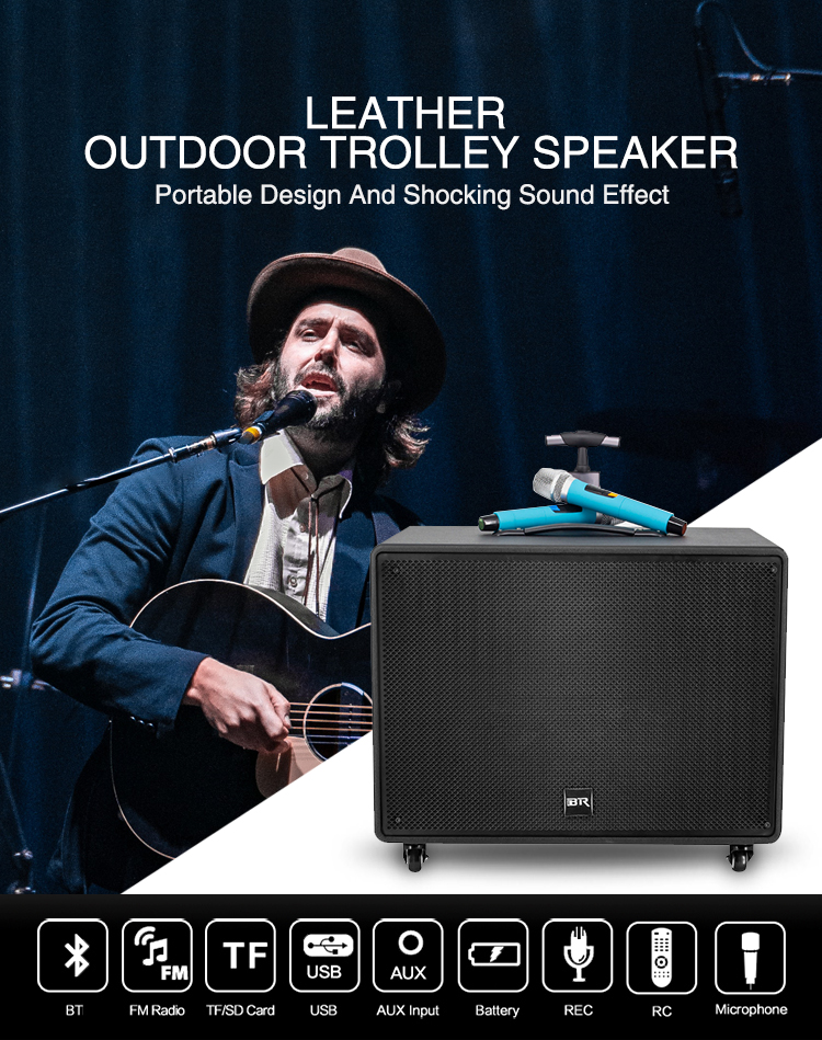 2022 wooden portable amplifier trolley 15 inch active loud speaker with ...